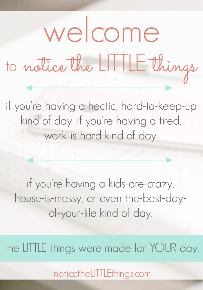notice the LITTLE things • creating a life & home where gratitude has ...