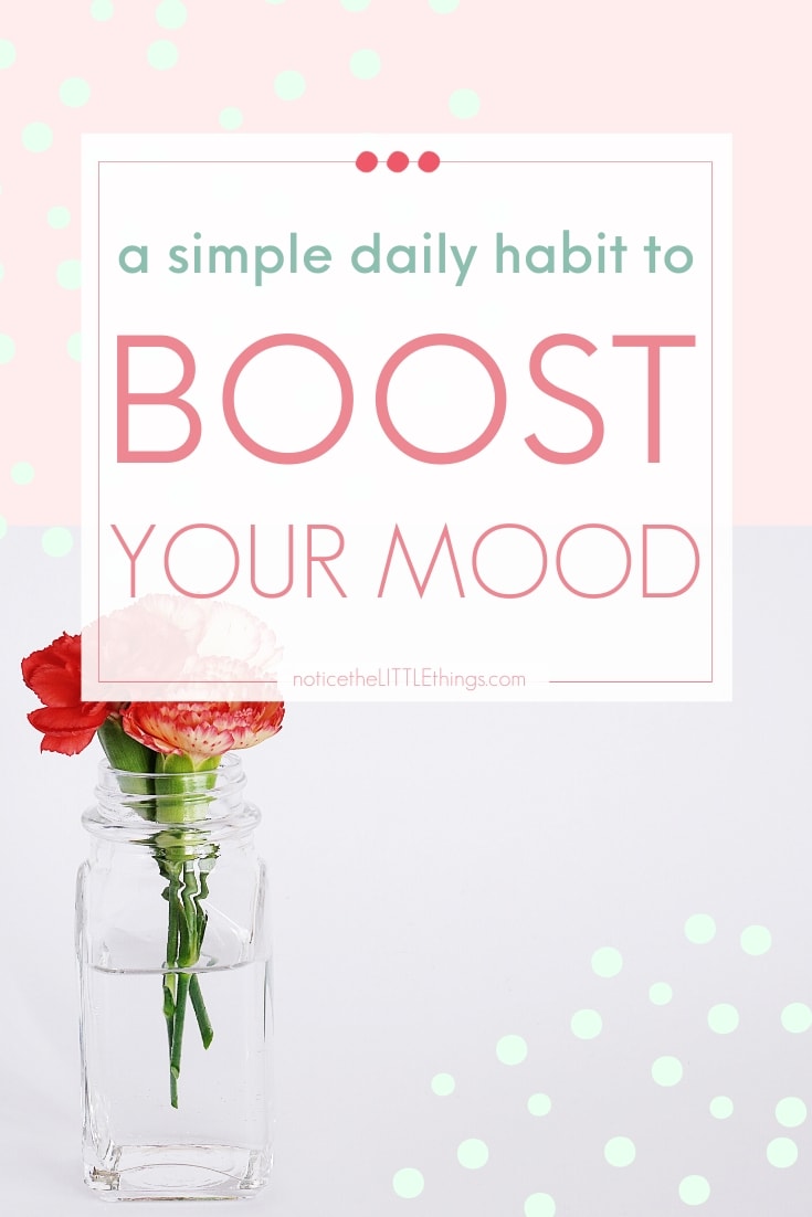 boost your mood with a simple daily gratitude habit • notice the LITTLE ...
