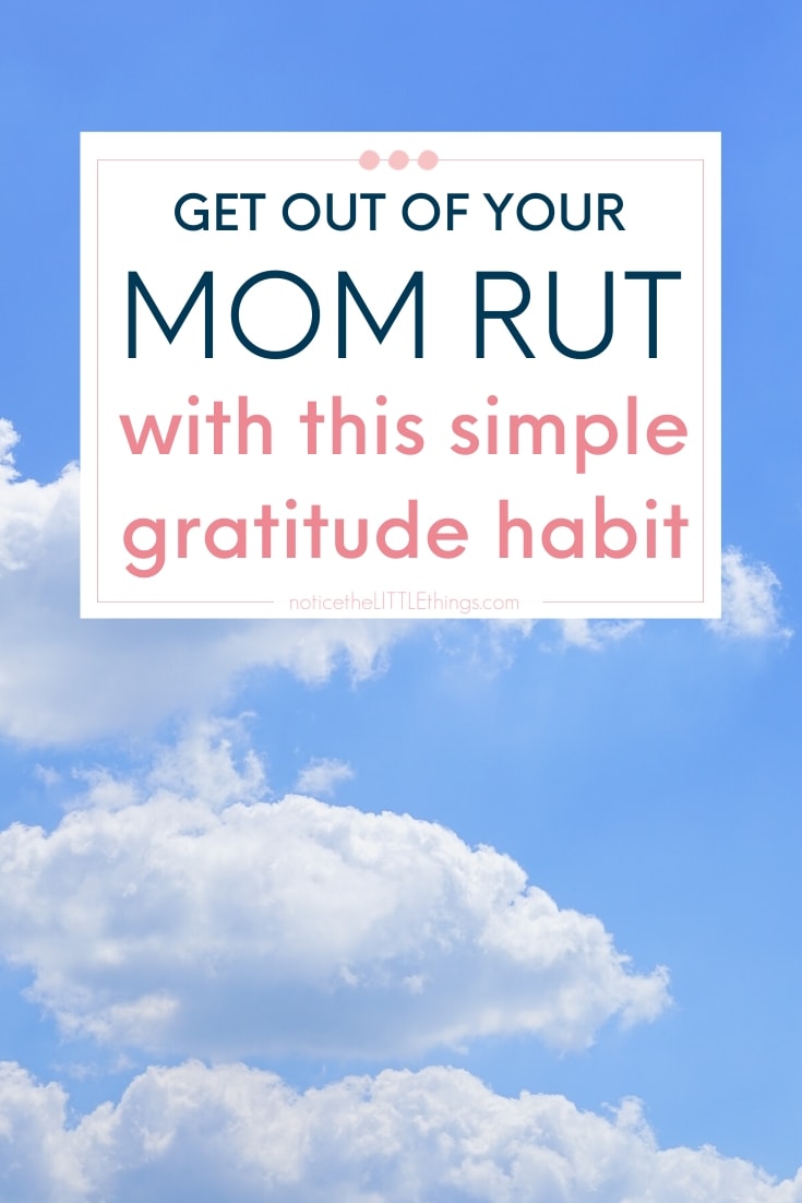 boost your mood with a simple daily gratitude habit • notice the LITTLE ...
