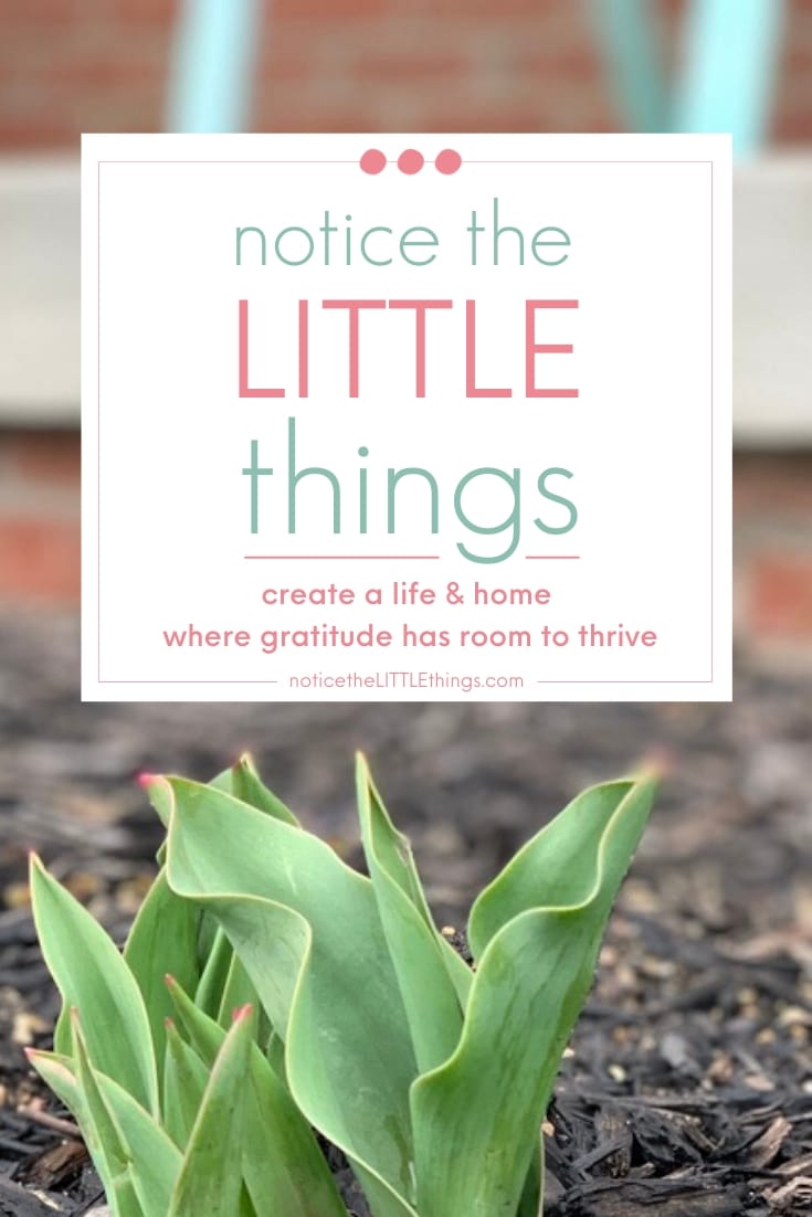 notice the LITTLE things • create your most grateful life, right where ...