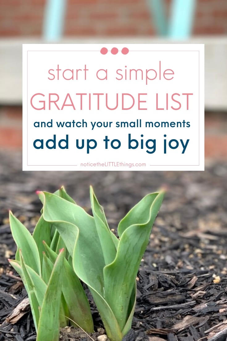 notice the LITTLE things • create your most grateful life, right where ...